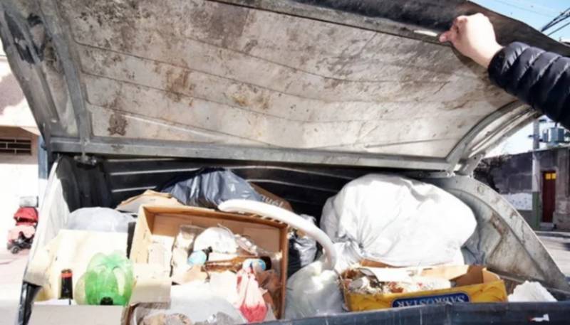 Más de 10 containers son averiados cada semana – M24Digital